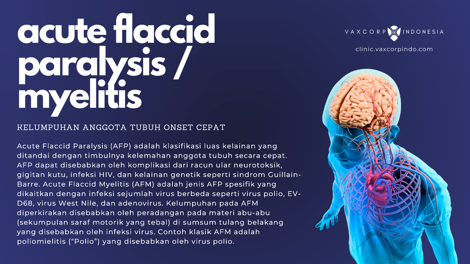 Vaksinasi Polio Acute Flaccid Paralysis Acute Flaccid Myelitis AFP AFM Vaksinasi Polio Acute Flaccid Paralysis Acute Flaccid Myelitis AFP AFM