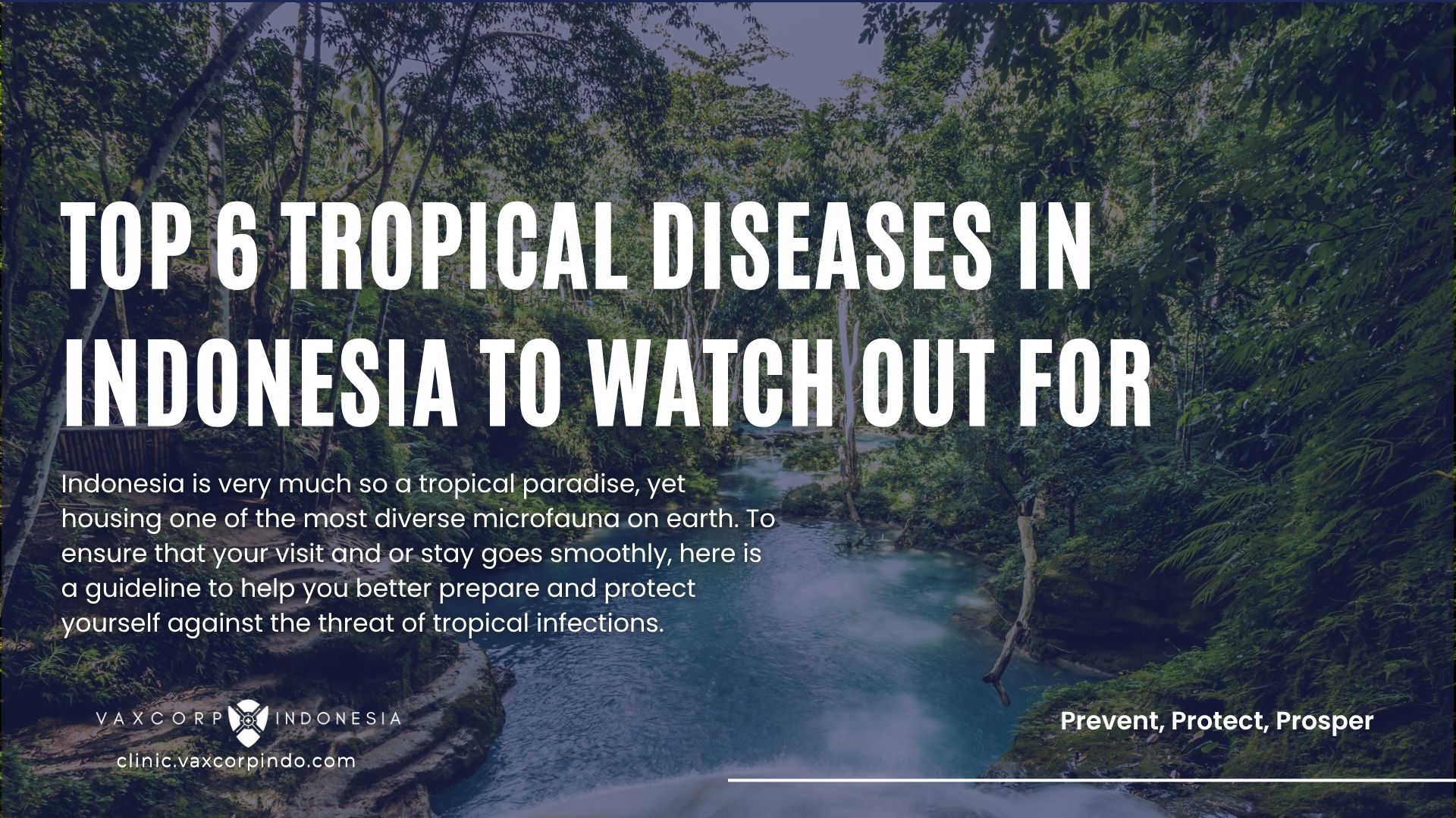 Top 6 Tropical Diseases in Indonesia to Watch Out for